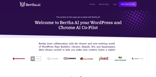 AI Copywriting - Bertha AI - AI Tools Arena